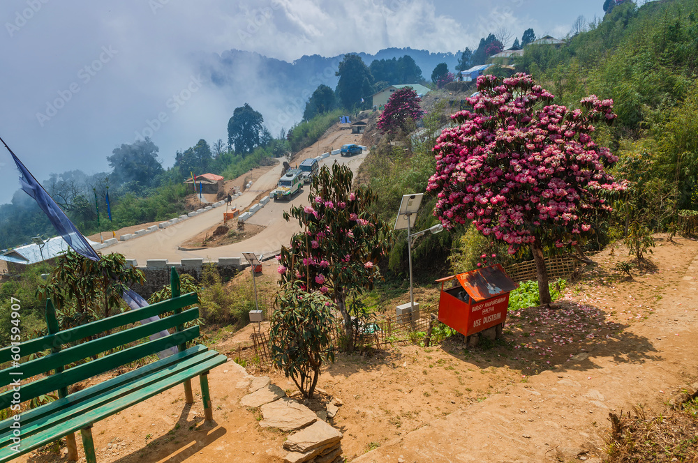 Sikkim, India - 21st March 2004 : Entry point of Varsey Rhododendron ...