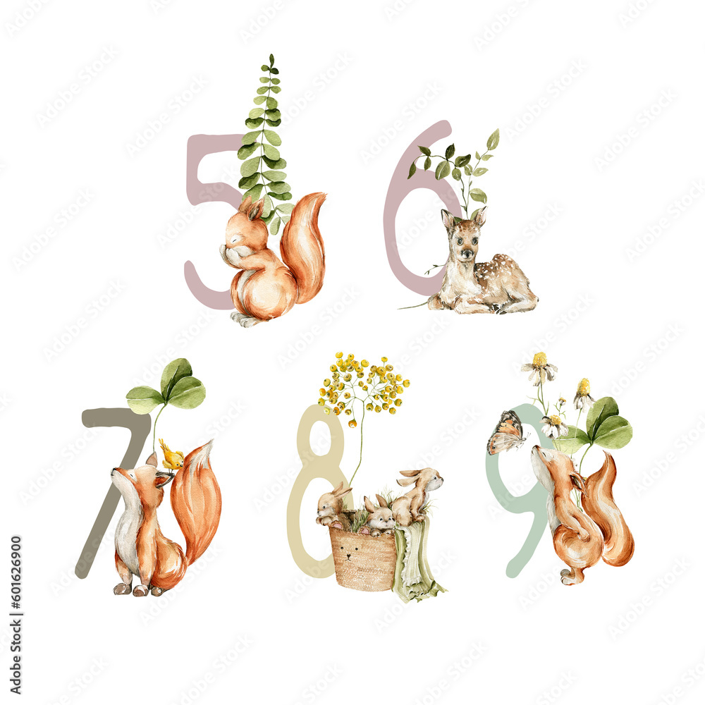 Watercolor cute woodland alphabet. Hand painted baby letters, numbers ...