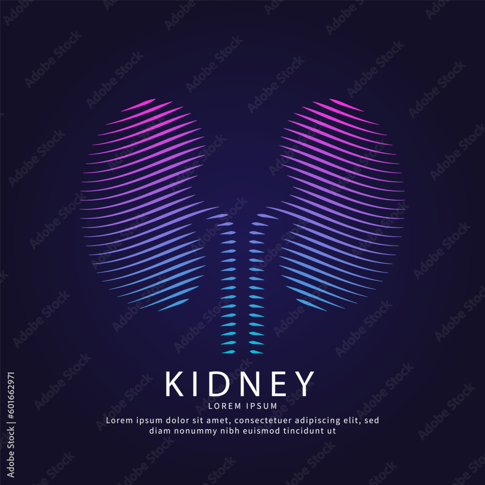 Human kidney medical structure. Vector logo kidney color silhouette on ...