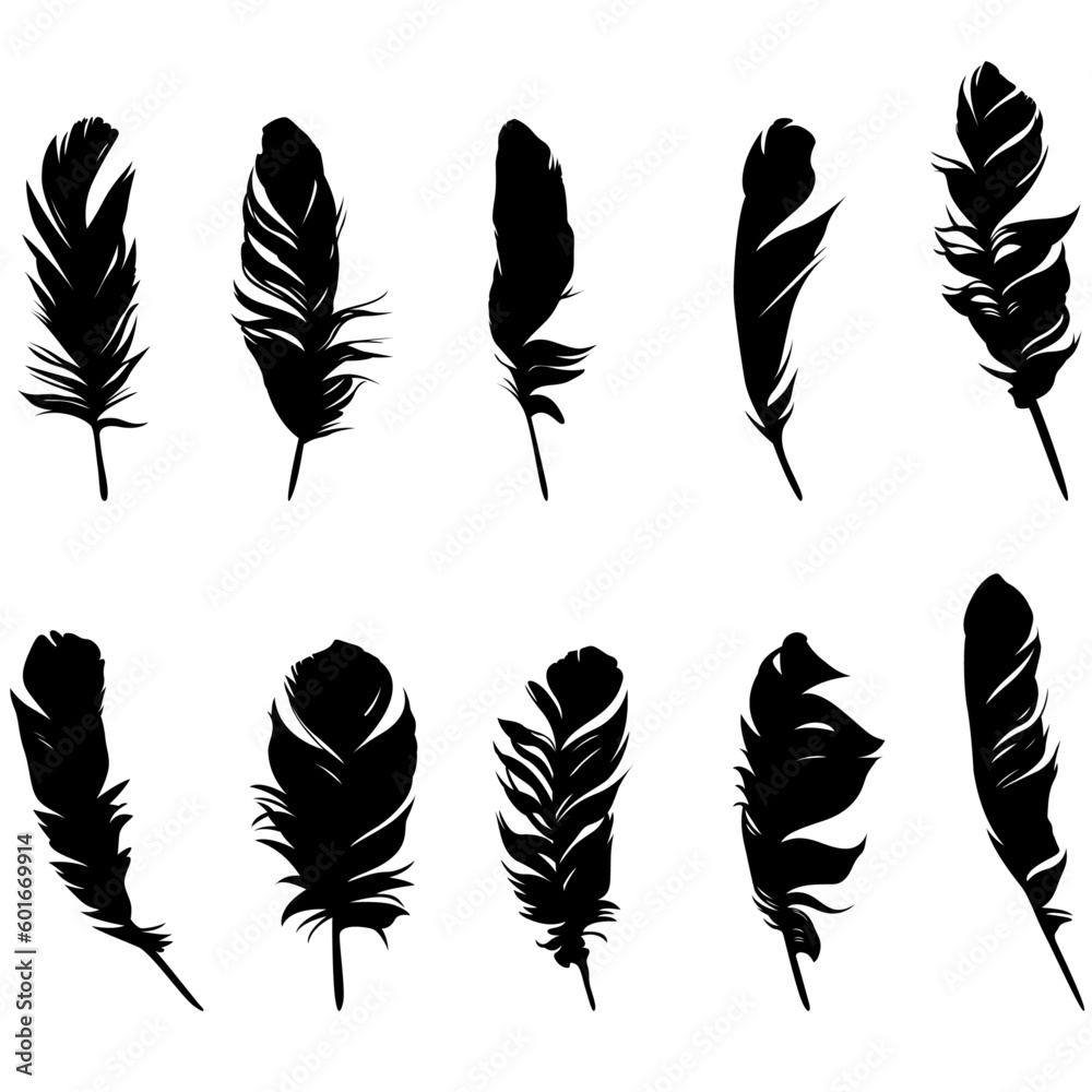 Feather SVG, Feathers Svg Bundle, Feathers Clipart, black feather ...