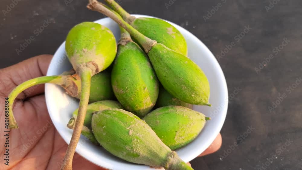 Madhuca Longifolia fruits. It is part of a traditional Indian food. Its ...