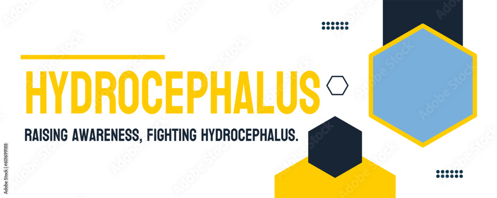 Poster HYDROCEPHALUS - a buildup of cerebrospinal fluid in the brain ...