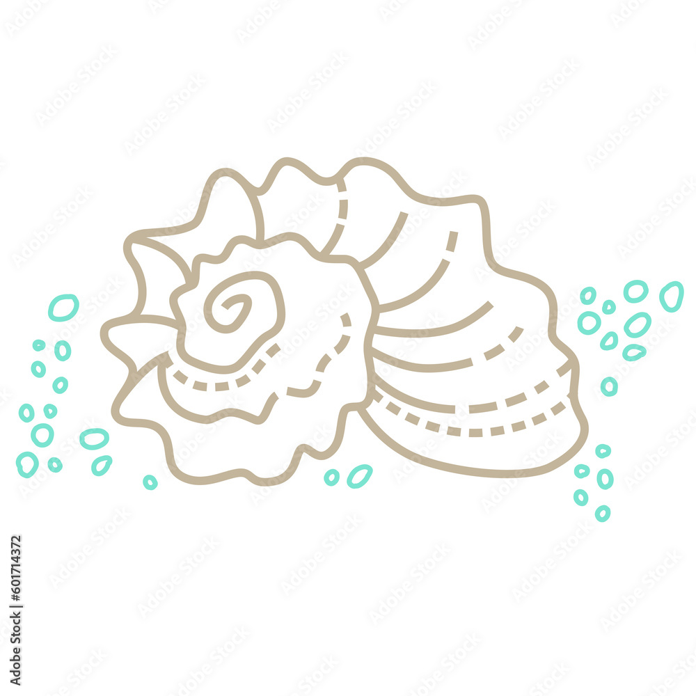 Illustration of line art tropical sea element, seashell. Doodles of ...