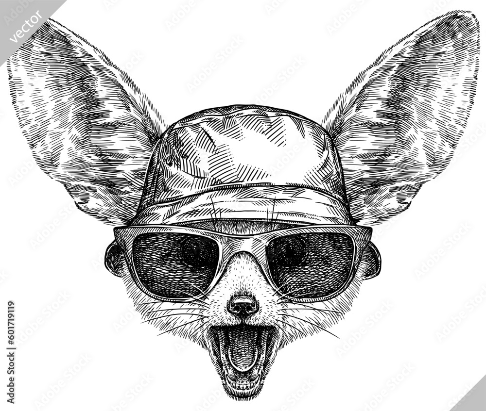 Vintage engraving isolated fennec set glasses dressed fashion ...