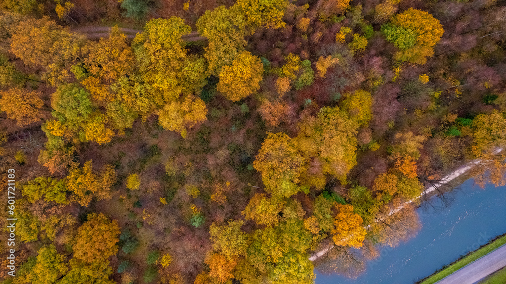 Top view of dark autumnforest landscape wallpaper art. Aerial nature ...