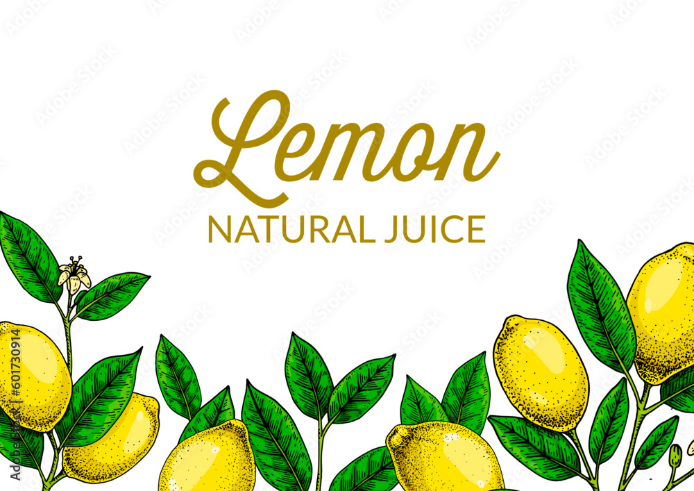 Horizontal lemon background. Hand drawn colorful vector illustration in ...