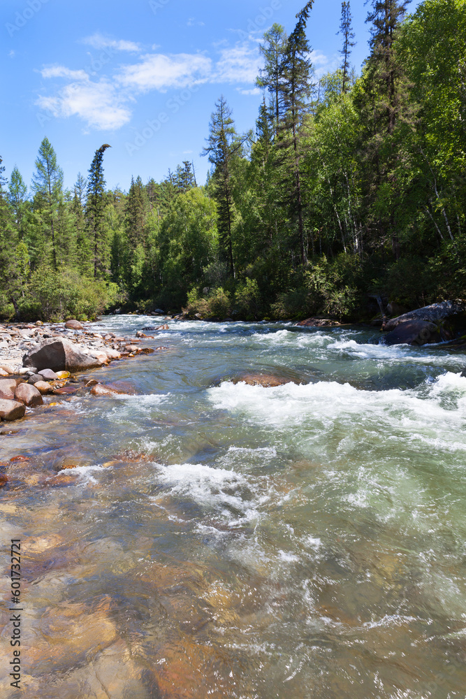 View of stone bed of fast river with clear water and green forest along ...