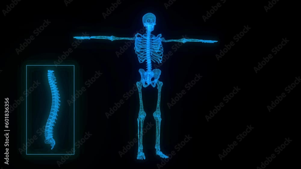 Digital, 3d and skeleton with x ray of spine for data, research or ...