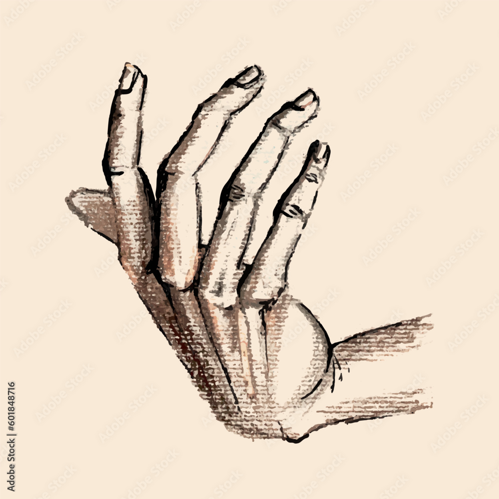 Hand drawn pencil sketch of hand gesture. Beautiful vector drawing ...