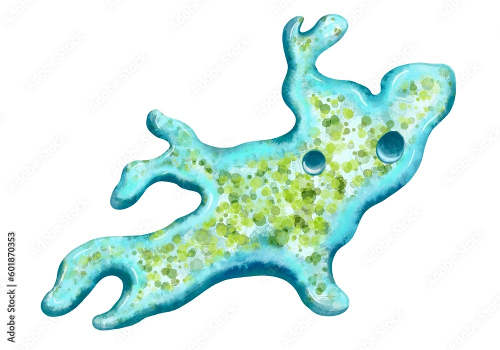 Bacteria close-up, unicellular protozoan microorganisms. Color ...