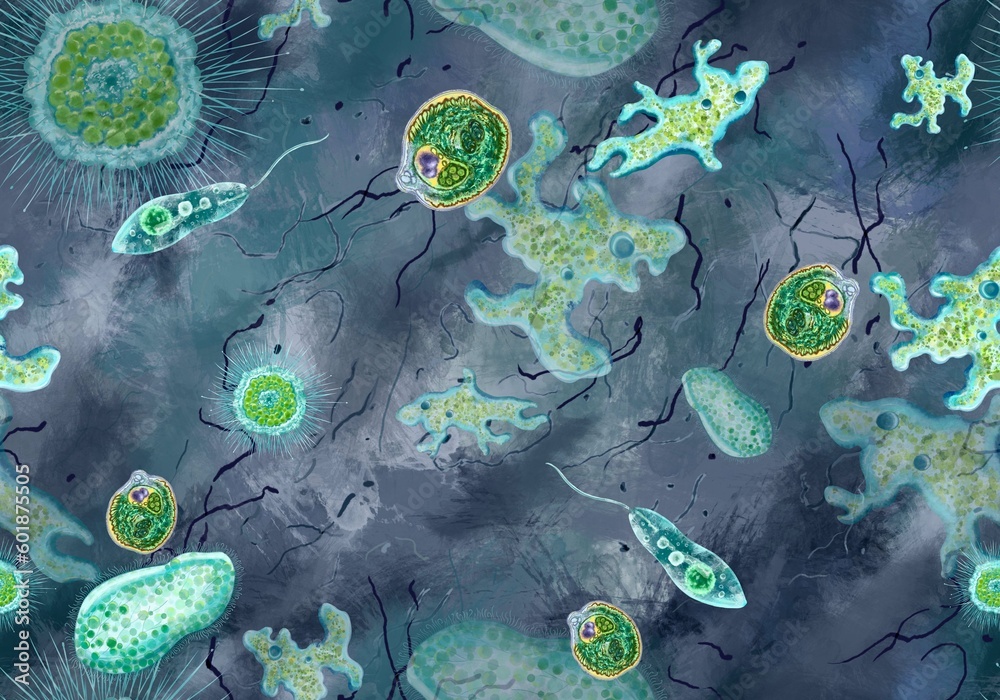 Bacteria Unicellular Protozoa Algae Seamless Pattern For Printing In Textbooks Medical