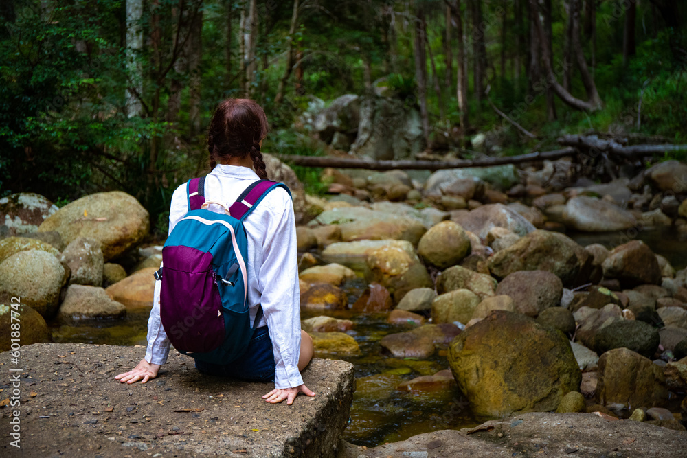 Poster backpacker girl admiring little creek in the jungle in mount ...