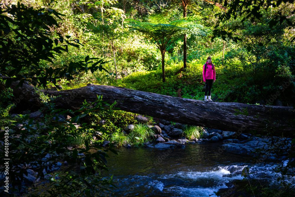 hiker girl uses an overturned tree trunk to cross a rushing river in ...