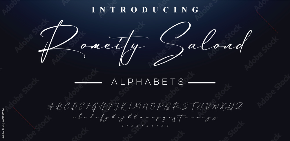 Hand drawn calligraphic vector monoline font. Distress signature letters. Modern script ...
