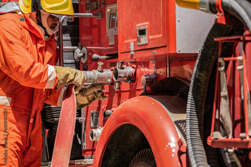 Firefighter trained muscles as he skillfully wind up the water hose ...