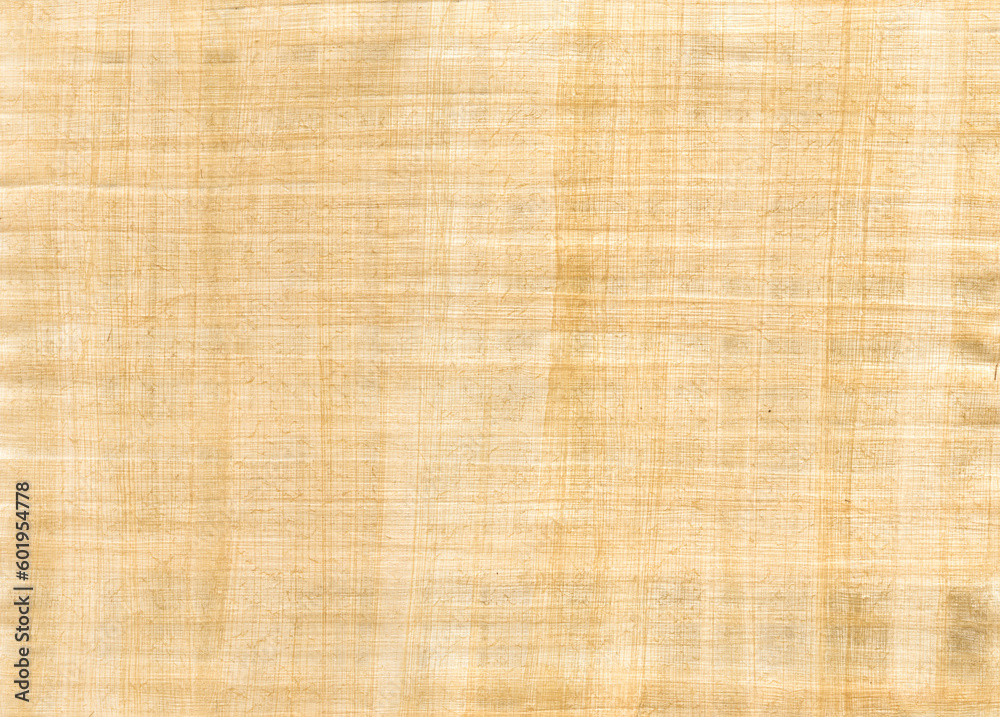 Old papyrus background texture Stock Photo | Adobe Stock