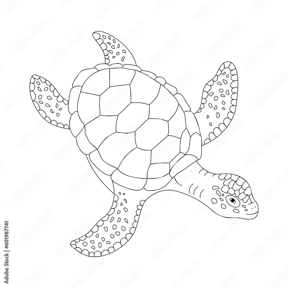 Sea Turtle outline animal illustration. Coloring page. Sea outline ...