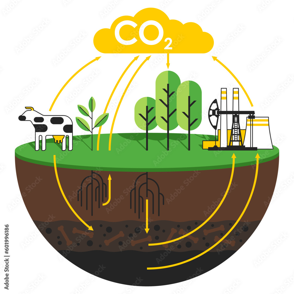 CO2 cycle - visual aid for scientific articles Stock Vector | Adobe Stock