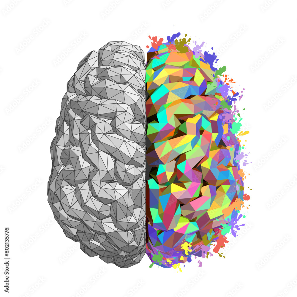 Left and Right Hemisphere of Human Brain Concept, Logical Thought of ...