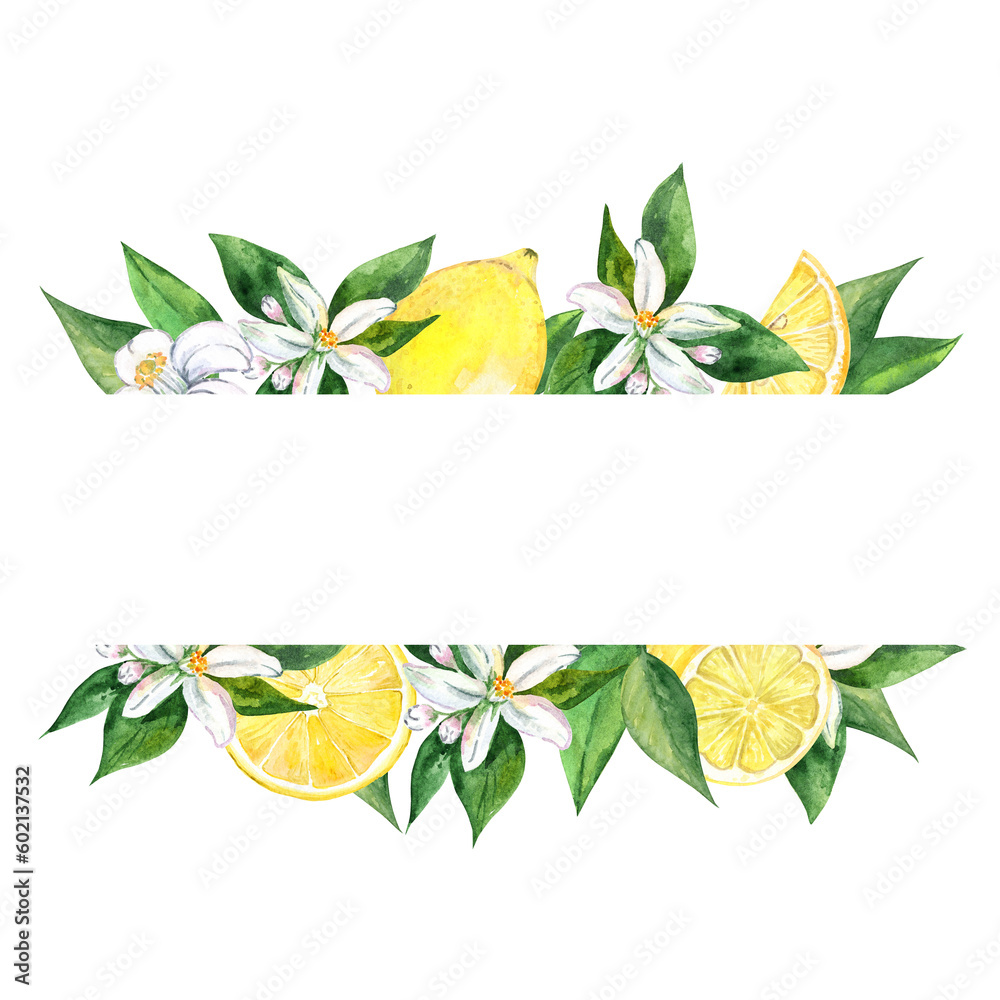 Watercolor lemon border isolated on white . Hand drawn citrus frame ...