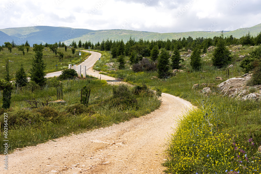 Mount Meron is a mountain in the Upper Galilee region of Israel. It has ...