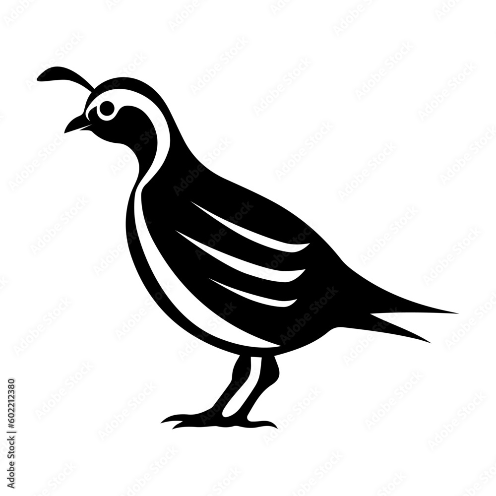 Quail vector clipart Stock Vector | Adobe Stock