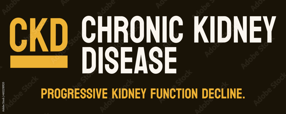 CKD Chronic Kidney Disease: Long-term kidney damage and loss of ...