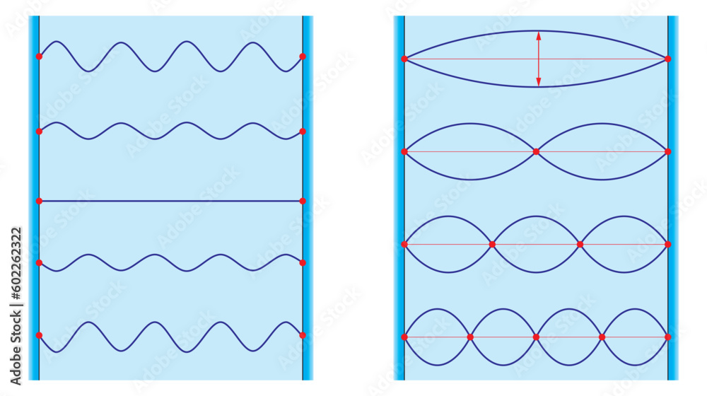 Physics. The vibrational modes of a physical string and time-lapse ...