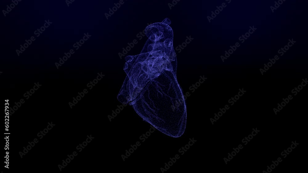 Futuristic Interface of Human Anatomy Systems. The motion graphics ...