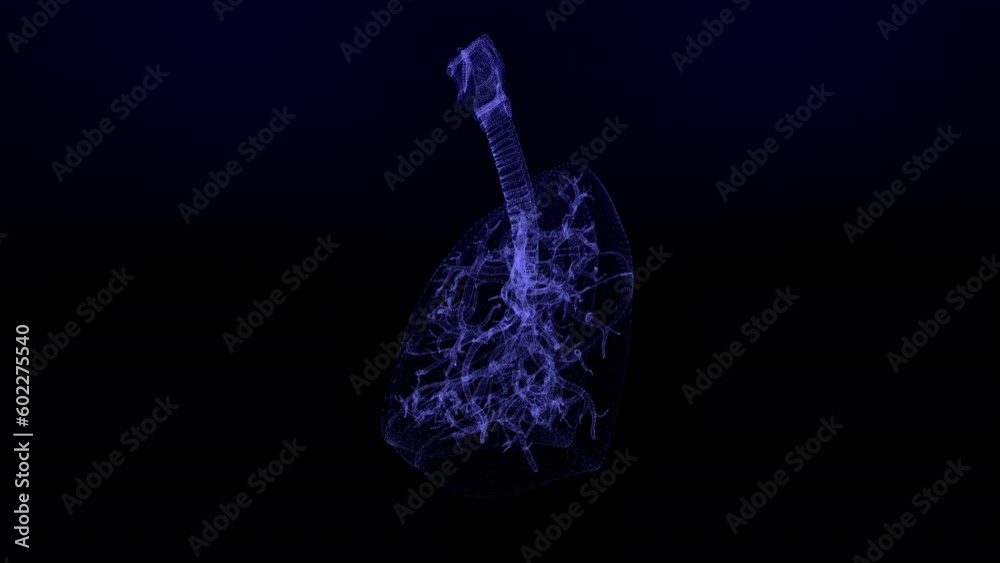 Human lungs of Polygon mesh of model. Animated neurons in 3d virtual space. Futuristic Interface ...