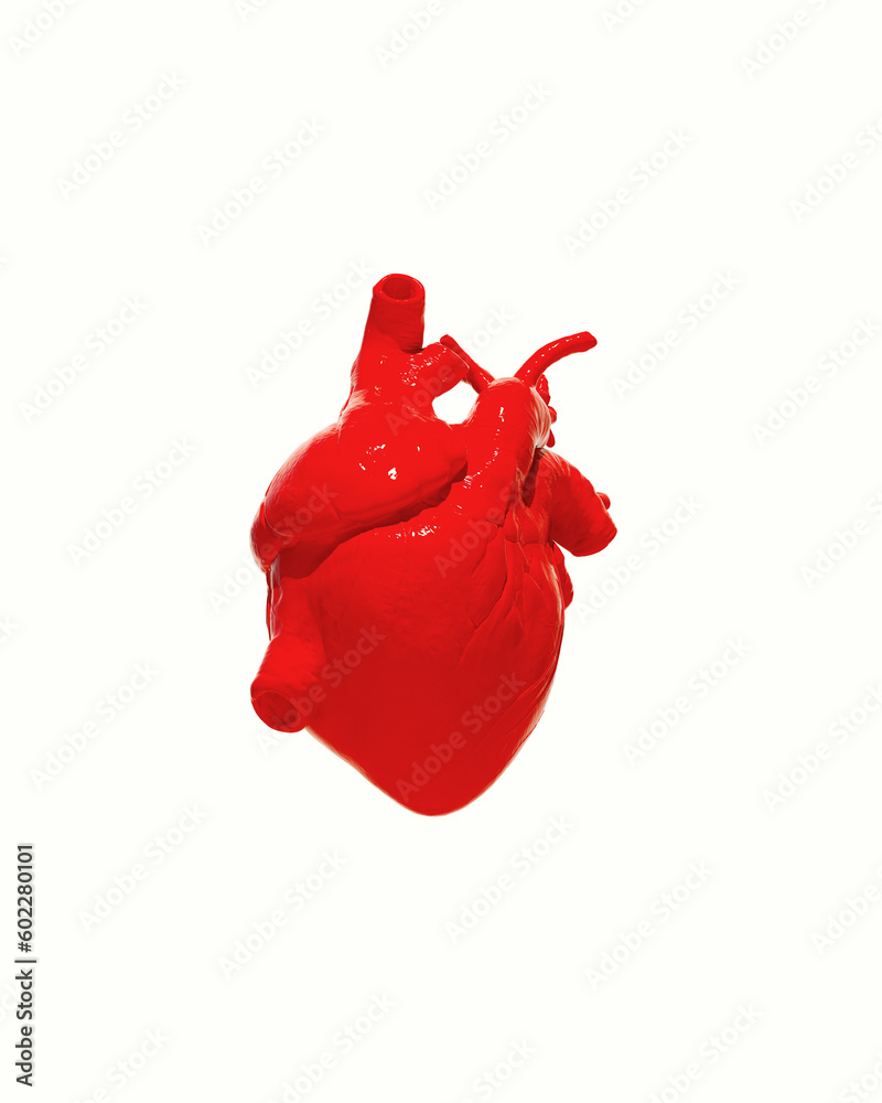 Red Human Heart Anatomical White Background Shiny Wet Blood Organ ...
