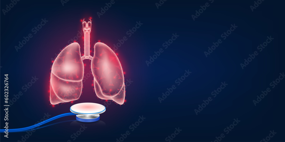 Human lung anatomy translucent low poly red float away from stethoscope ...