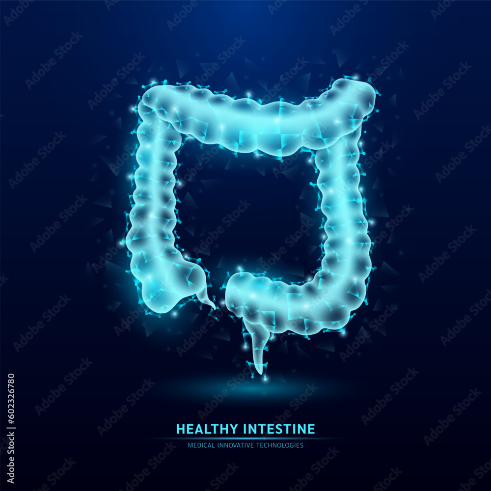 Human intestine blue translucent low poly triangles on dark blue ...