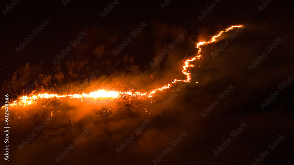 Night fire in the forest with fire and smoke.Epic aerial photo of a ...