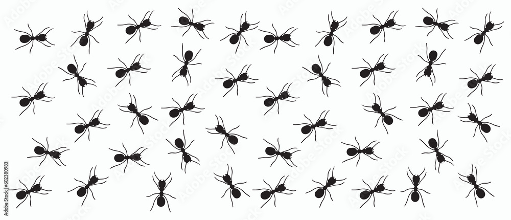 Insect Insects ant ants emmet pismire banner Vector icon icons sign ...