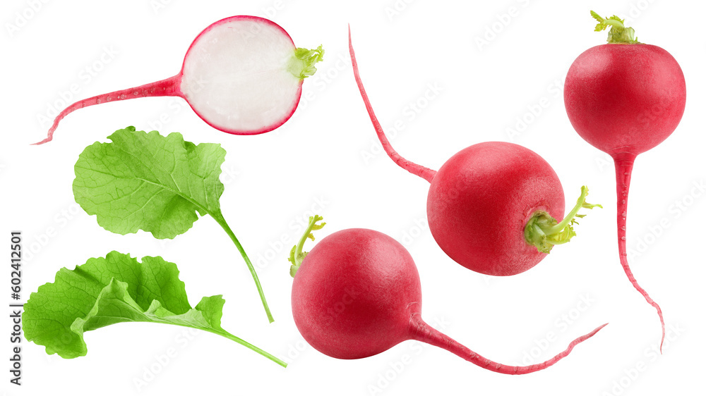 Radish isolated on white background, full depth of field Stock Photo ...