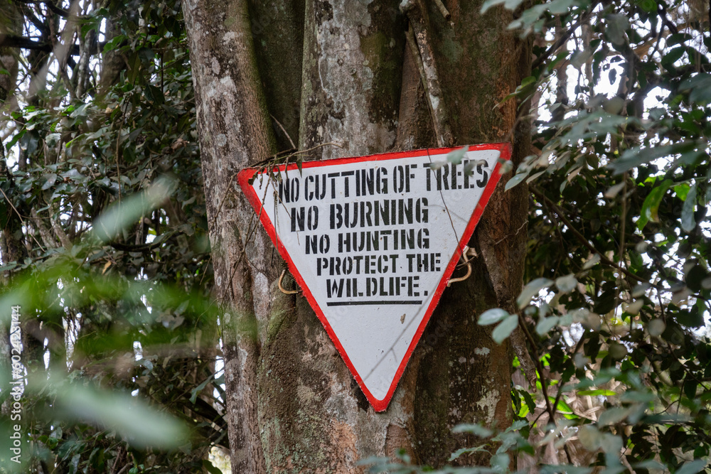 Sign in the forest - no cutting trees, no burning, no hunting to ...