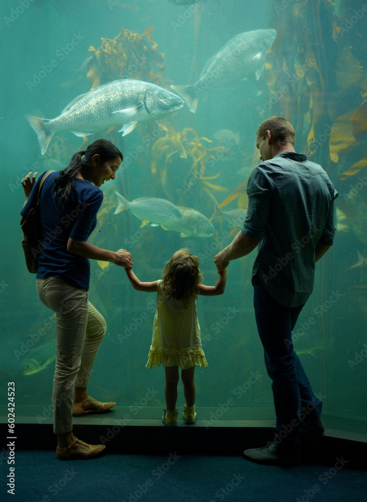 Aquarium, family and holding hands while looking at fish for learning ...