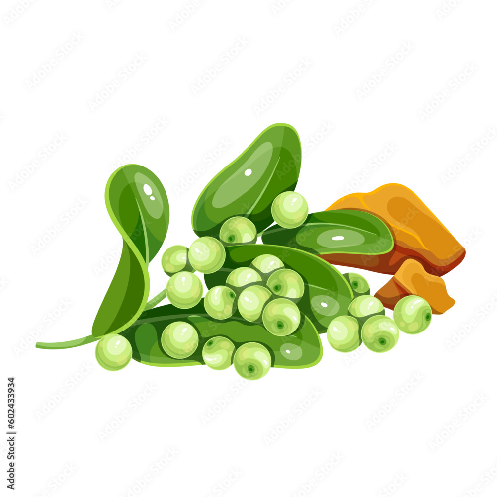Guggul branch and resin pieces vector illustration. Cartoon isolated ...