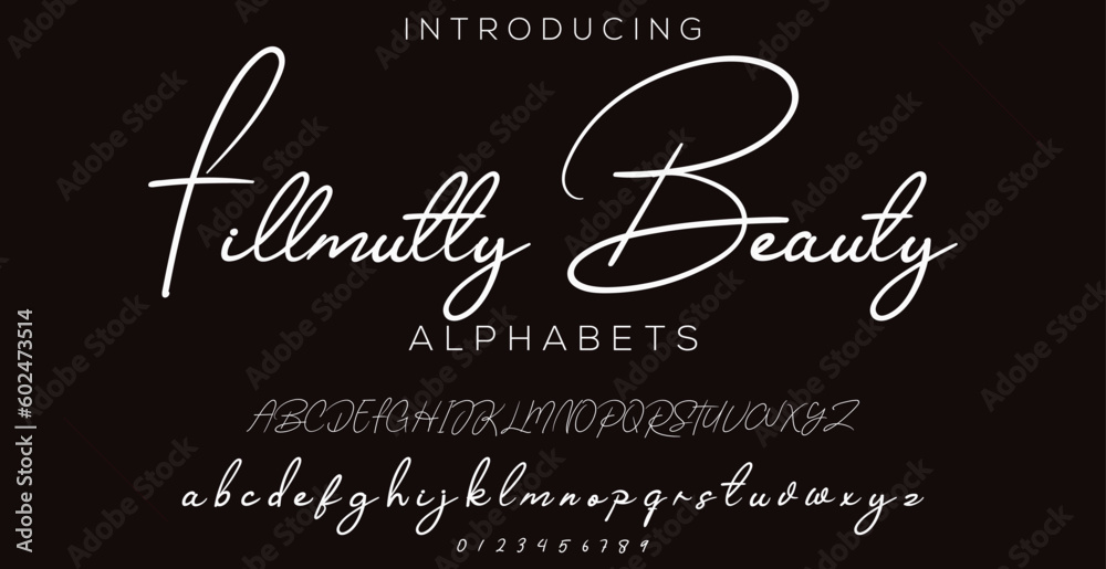 Hand drawn vector alphabet. Script font. Isolated letters written with ...