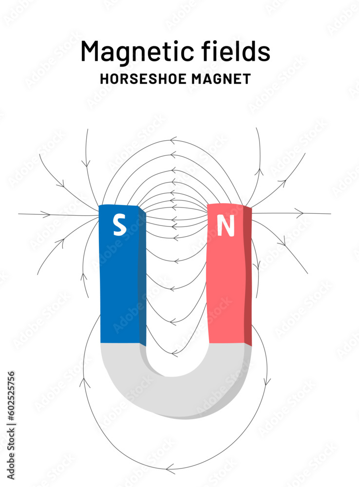 Magnetic Fields education poster. Horseshoe magnet infographic print ...