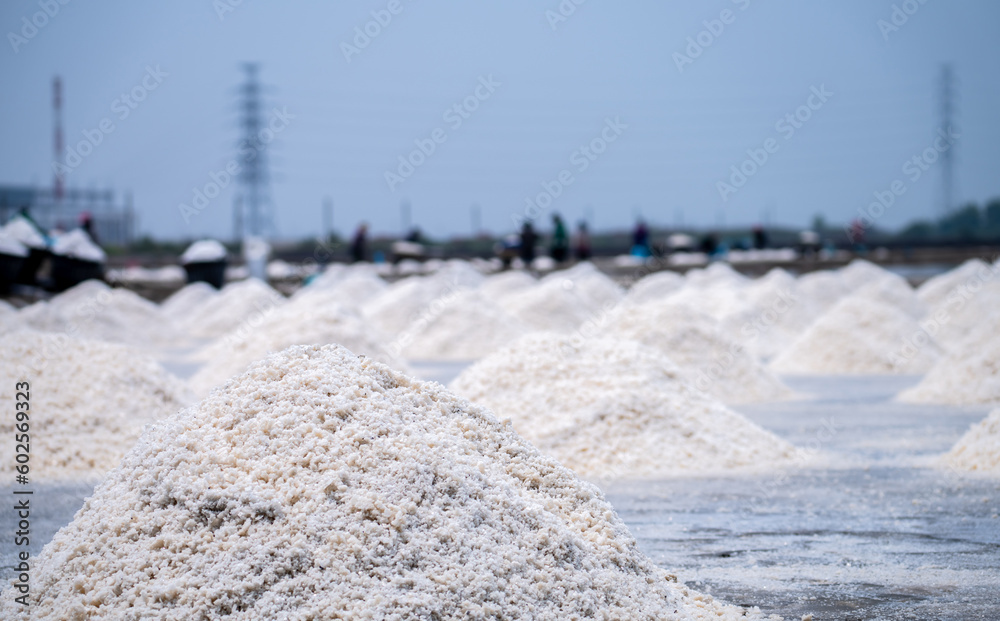 Sea salt farm and blur worker working on farm. Brine salt. Raw material ...