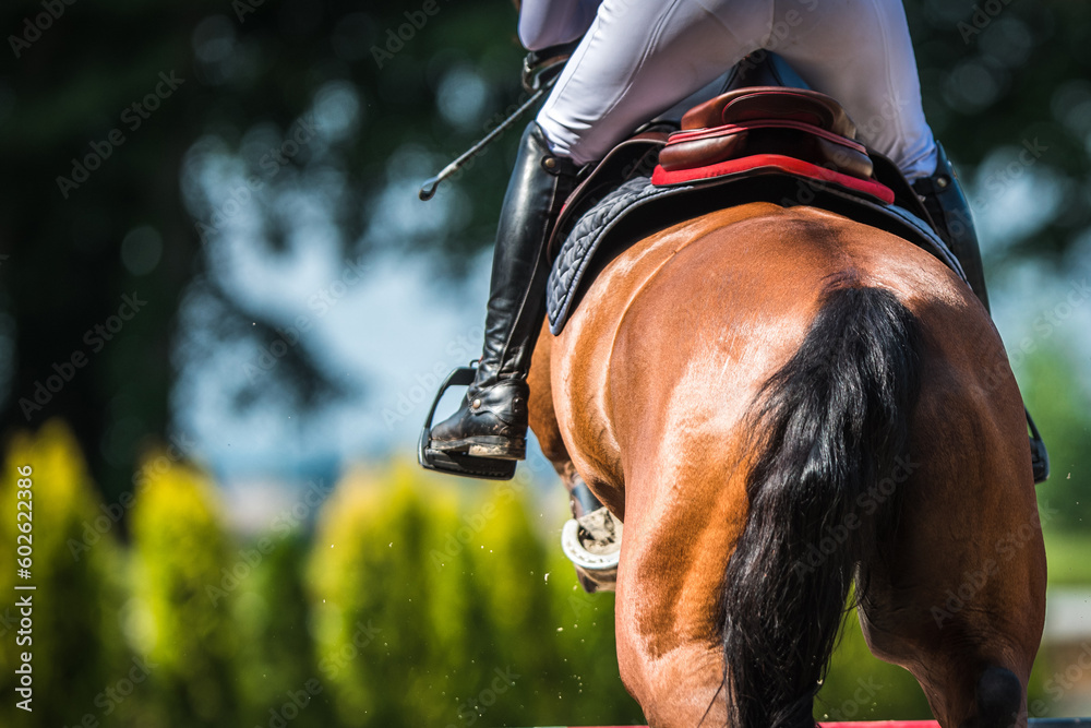 Professional horse rider jumping over the obstacle on show jumping ...