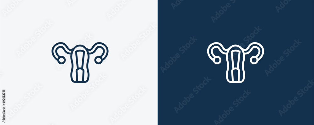uterus icon. Outline uterus icon from medical collection. Linear vector ...