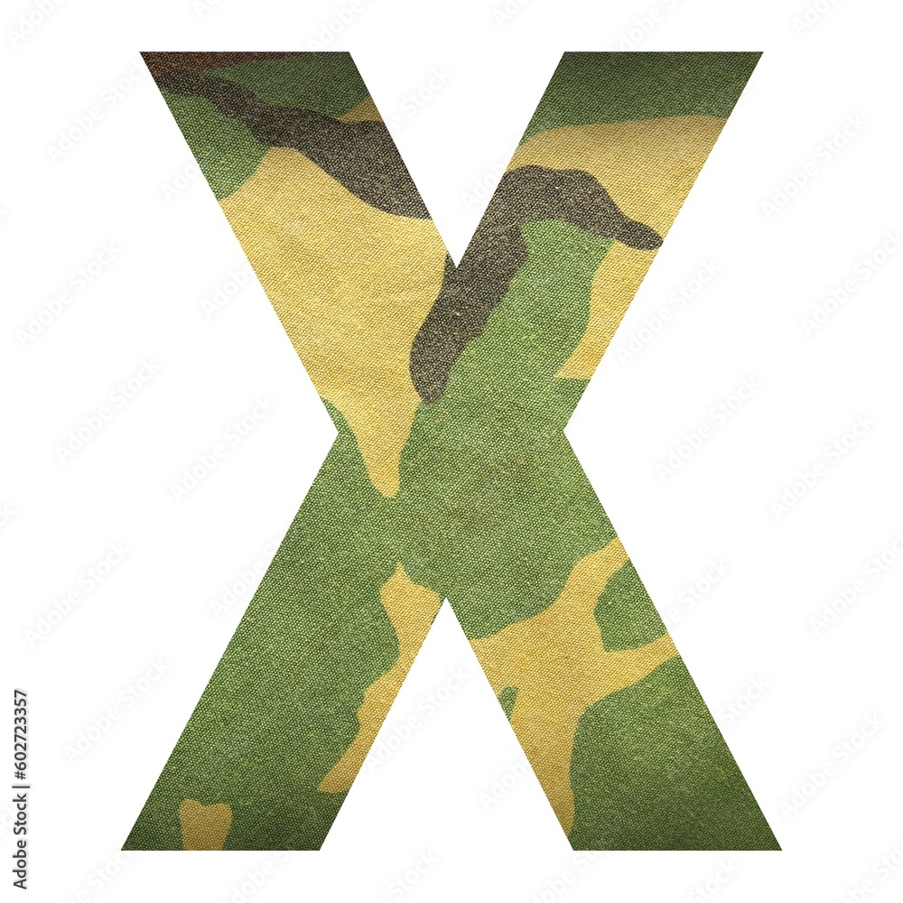 letter of X fill with army design on white background, word of X army ...