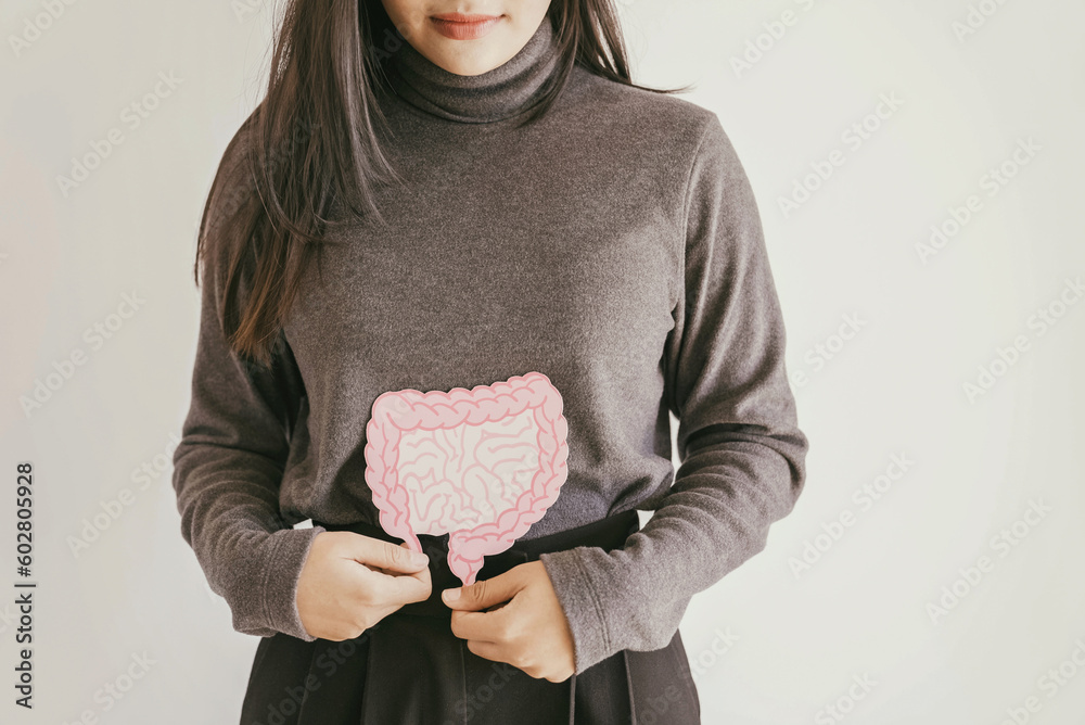 Woman hands holding intestine shape, healthy bowel digestion, leaky gut ...