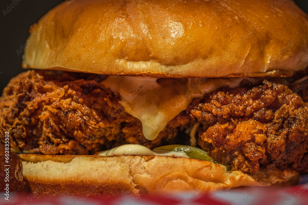 Crispy Chicken Burger. Fatty junk food concept. Southern Country Fried ...