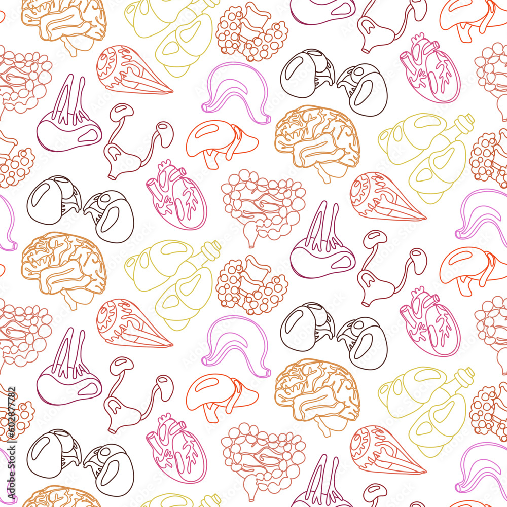 Sample contour of human internal organs for surgery and transplantation ...