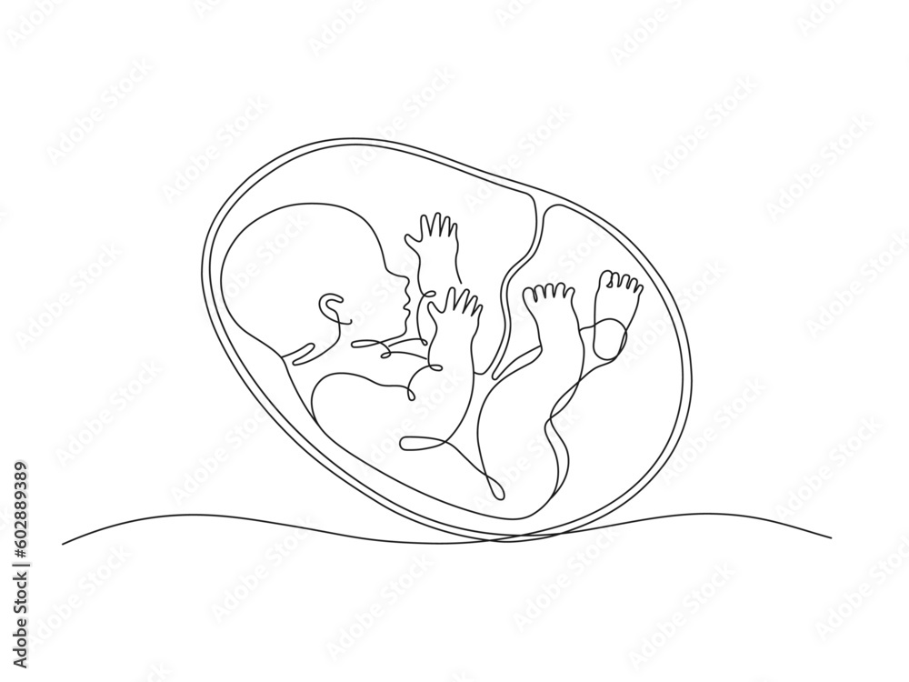 Baby embryo in womb one line drawing. Cute unborn fetus baby on mother ...