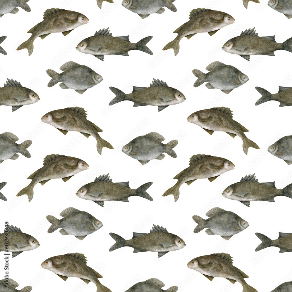 Watercolor freshwater fish seamless pattern. Hand drawn European carp ...